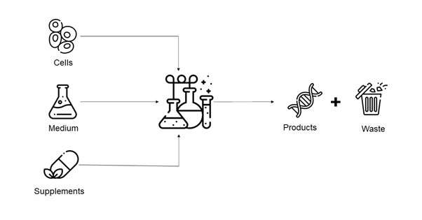 Cell Culture Media Supplements: Essential Components for Cellular Research