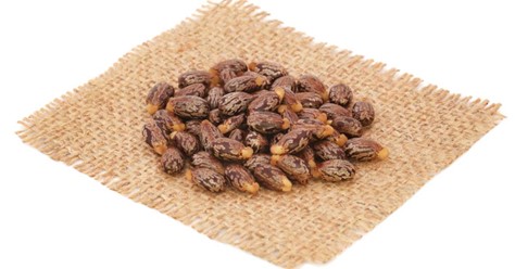 Eco-Friendly Fabrics: The Rise of Castor Oil Biopolymers in the Textile ...