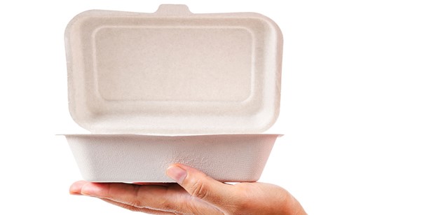 Mycelium: A New Age Packaging Material